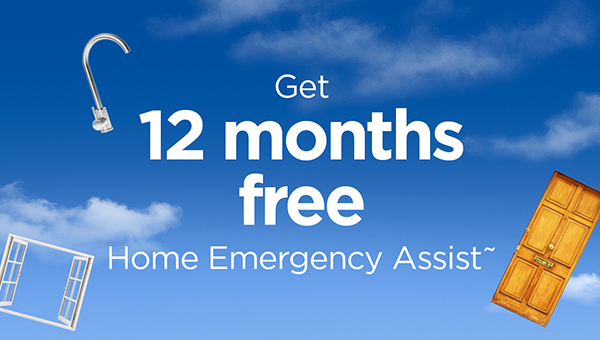 Bupa Pet Insurance – Help Protect Your Pet From The Unexpected