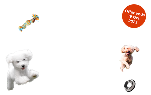 Bupa Pet Insurance – Help Protect Your Pet From The Unexpected