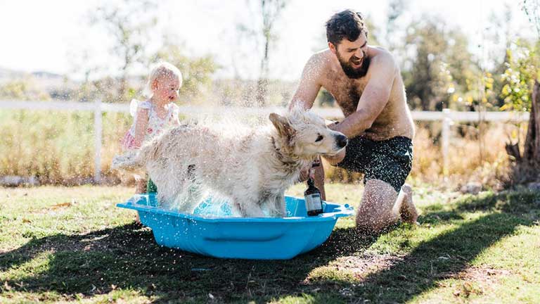 Bupa Pet Insurance – Help Protect Your Pet From The Unexpected