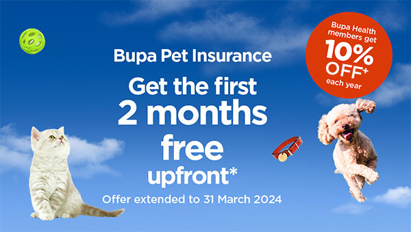 Bupa Comprehensive Car Insurance | Bupa