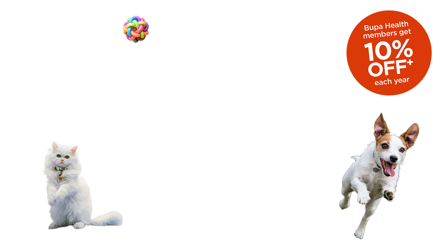 Bupa Pet Insurance – Help Protect Your Pet From The Unexpected