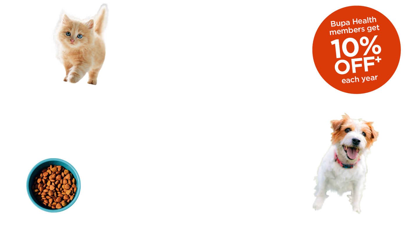 Bupa Pet Insurance – Help Protect Your Pet From The Unexpected