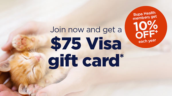 Bupa Travel Insurance – With 24/7 Emergency Claims Assistance | Bupa