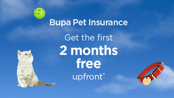 Bupa Car Insurance – Get Cover You Can Count On | Bupa