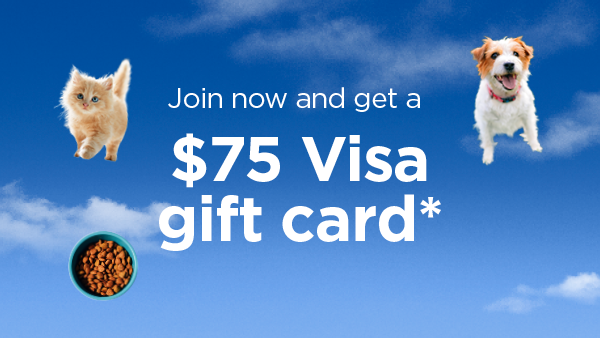 Travel Insurance - Holiday Insurance for Australians by Bupa | Bupa