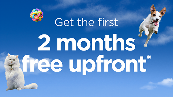 Bupa Car Insurance – Get Cover You Can Count On | Bupa