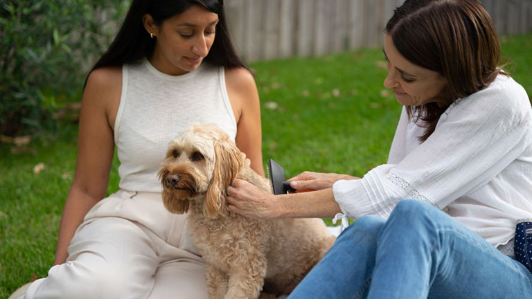 Bupa Pet Insurance – Help Protect Your Pet From The Unexpected